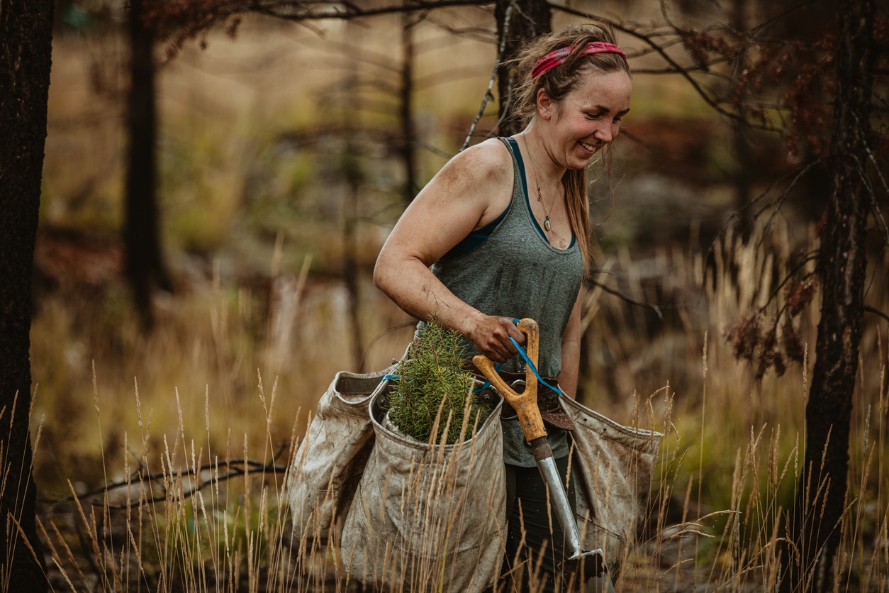 Ecosystem Restoration Camps - Global Bridge Foundation