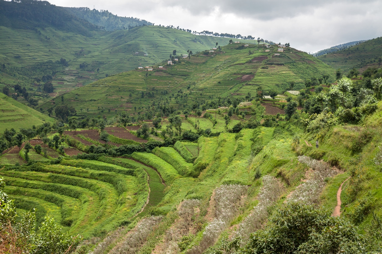Ecosystem Restoration Camps - Global Bridge Foundation