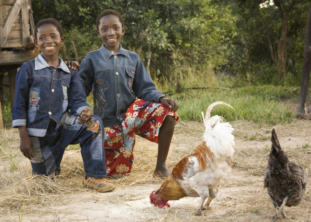 Heifer International - Global Bridge Foundation